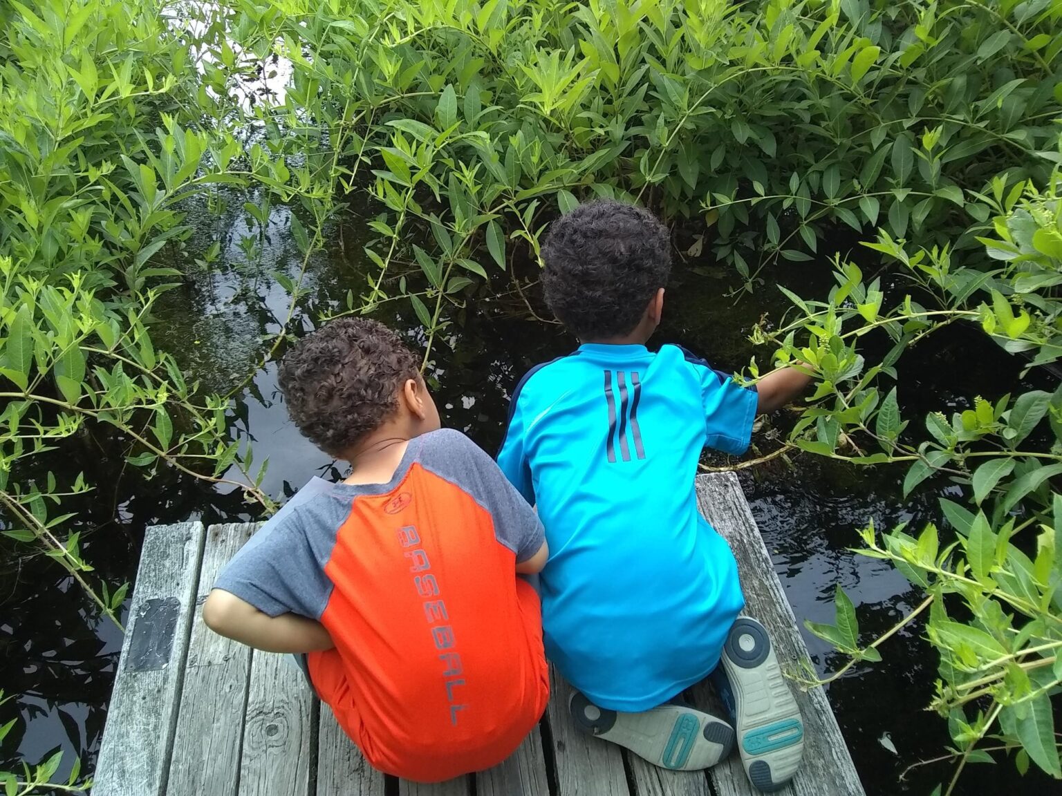 Massachusetts Summer Camp - The Trustees of Reservations