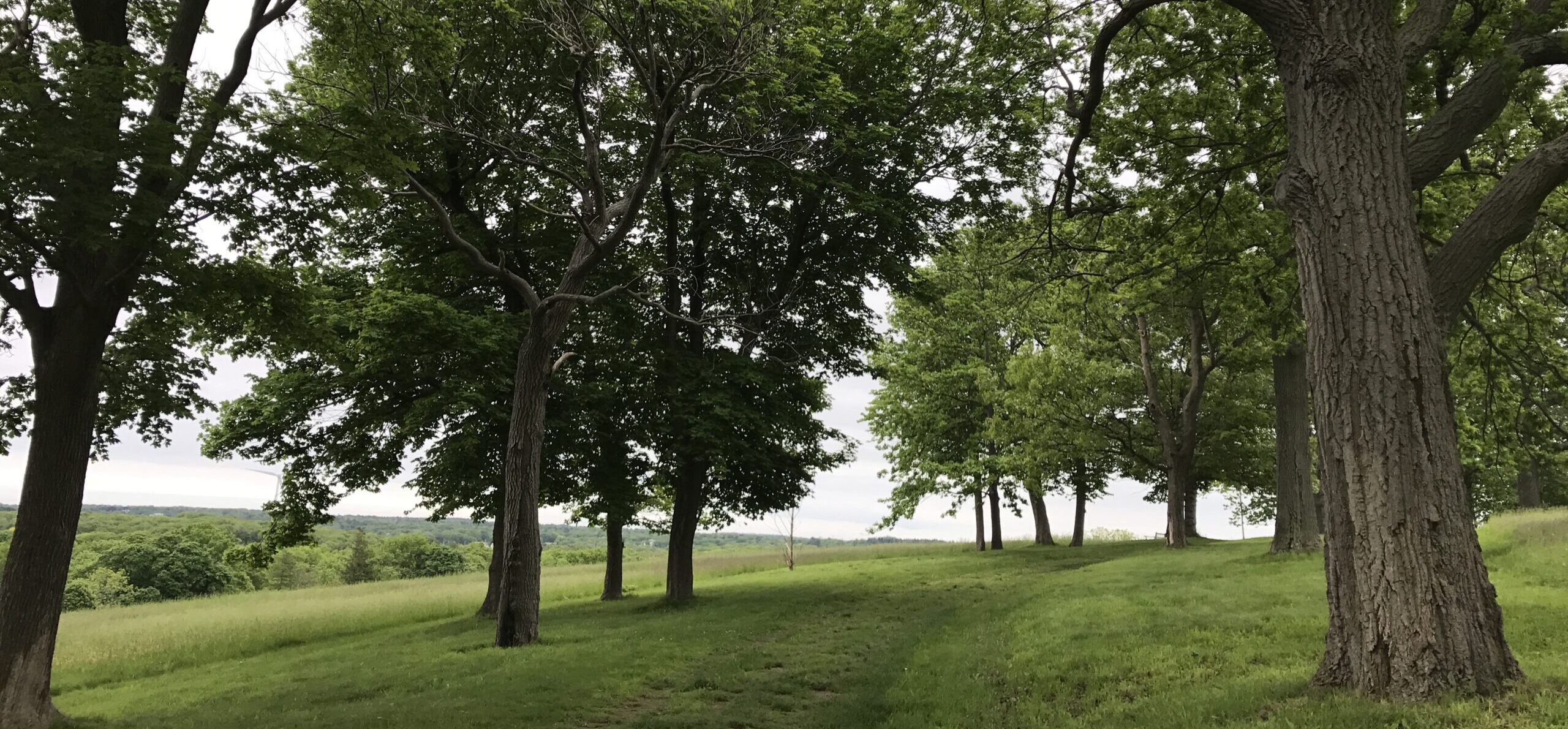 Woodlands & Parks - The Trustees of Reservations