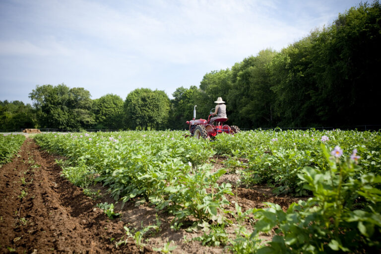 Moraine Farm - The Trustees of Reservations