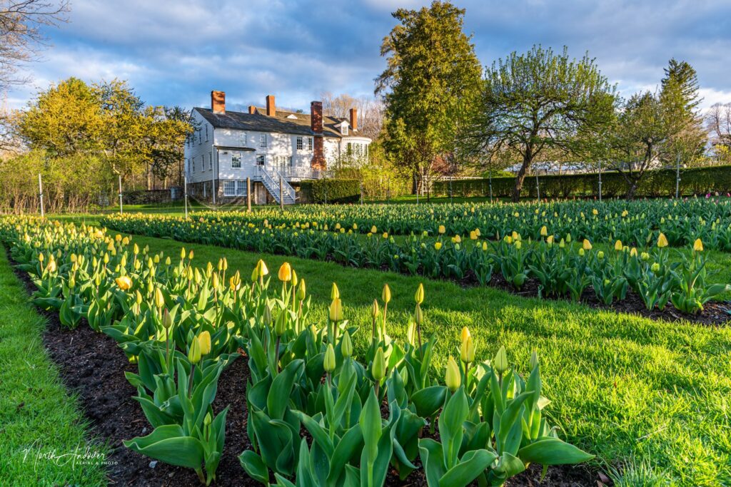 Trustees Spring Plant Sales - The Trustees of Reservations