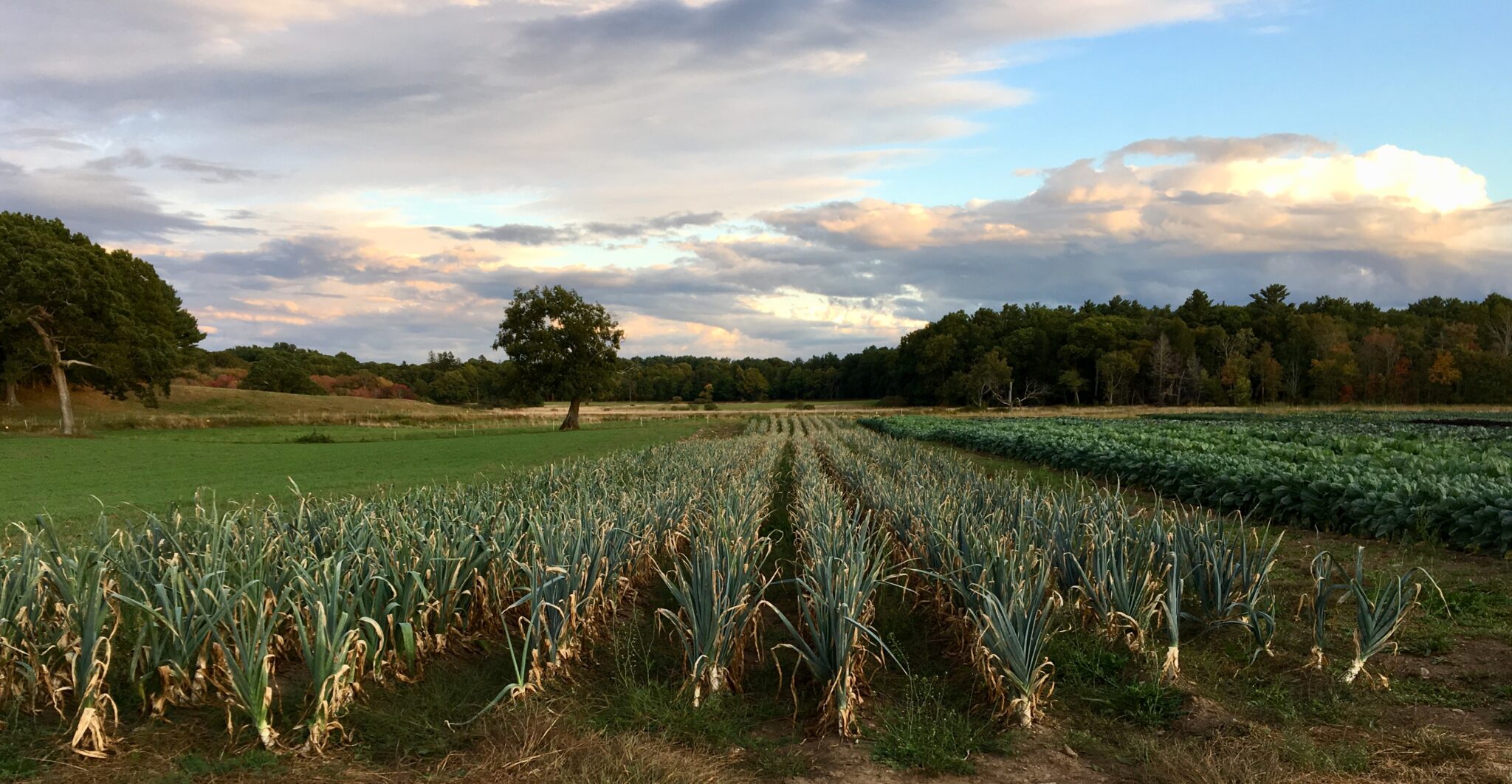 Day Trips in Massachusetts - The Trustees of Reservations