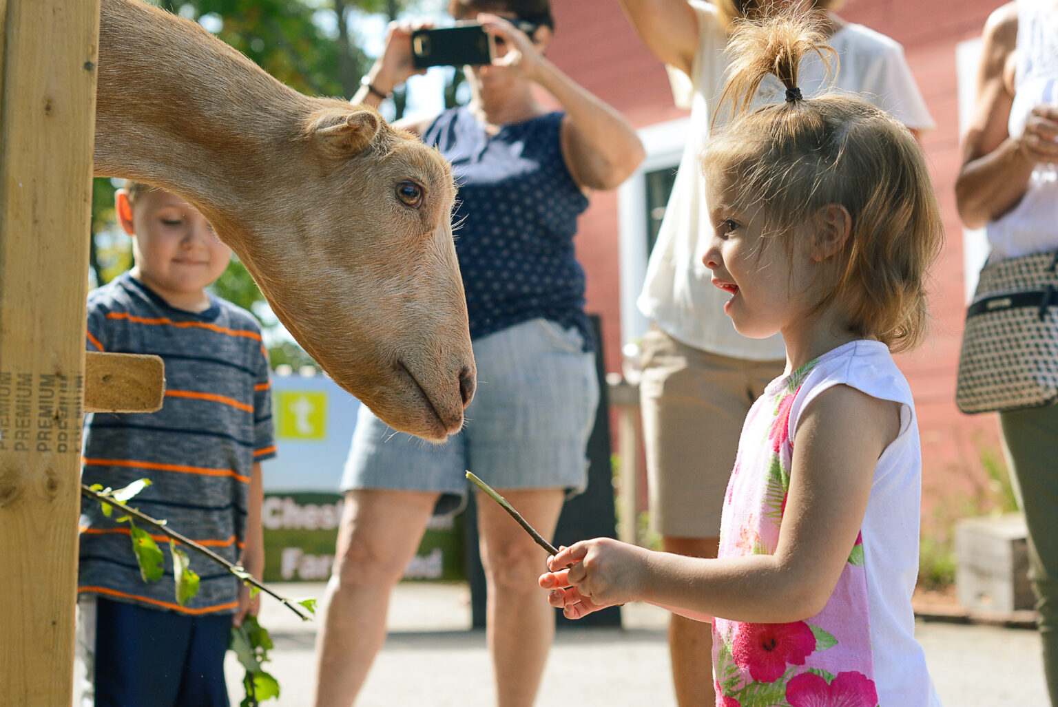 Powisset Farm, Dover, MA - The Trustees of Reservations