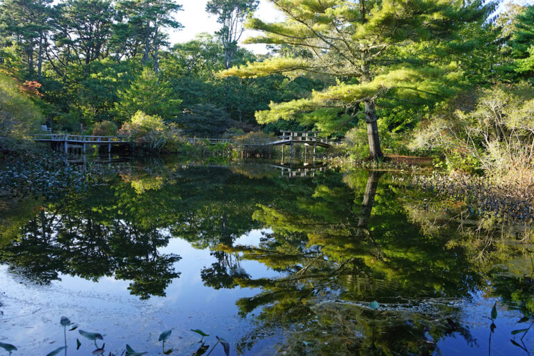 Wasque, Chappaquiddick Island, MA - The Trustees of Reservations