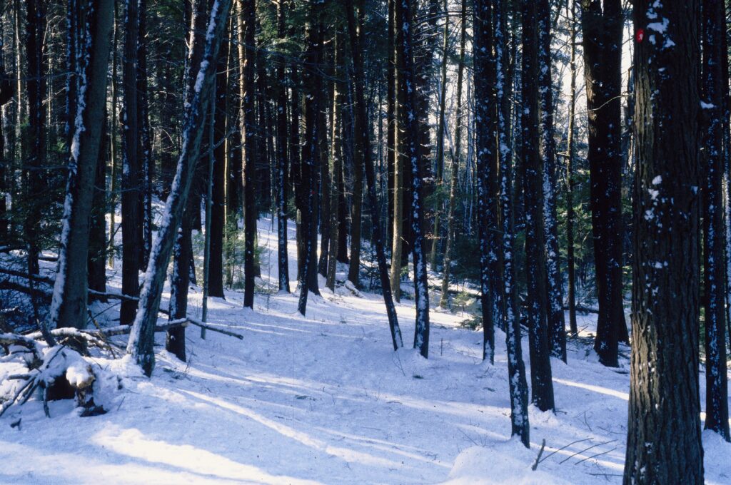 North of Boston - The Trustees of Reservations