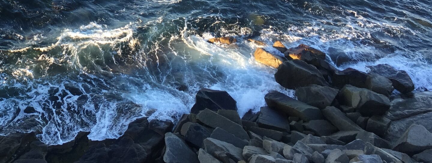 Halibut Point Reservation - The Trustees of Reservations