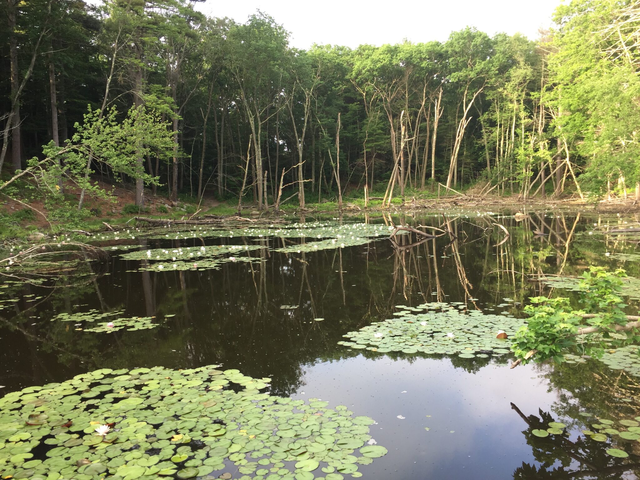 Misery Islands, Salem, MA - The Trustees of Reservations