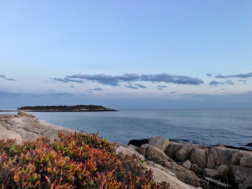Halibut Point Reservation, Rockport, MA - The Trustees of Reservations