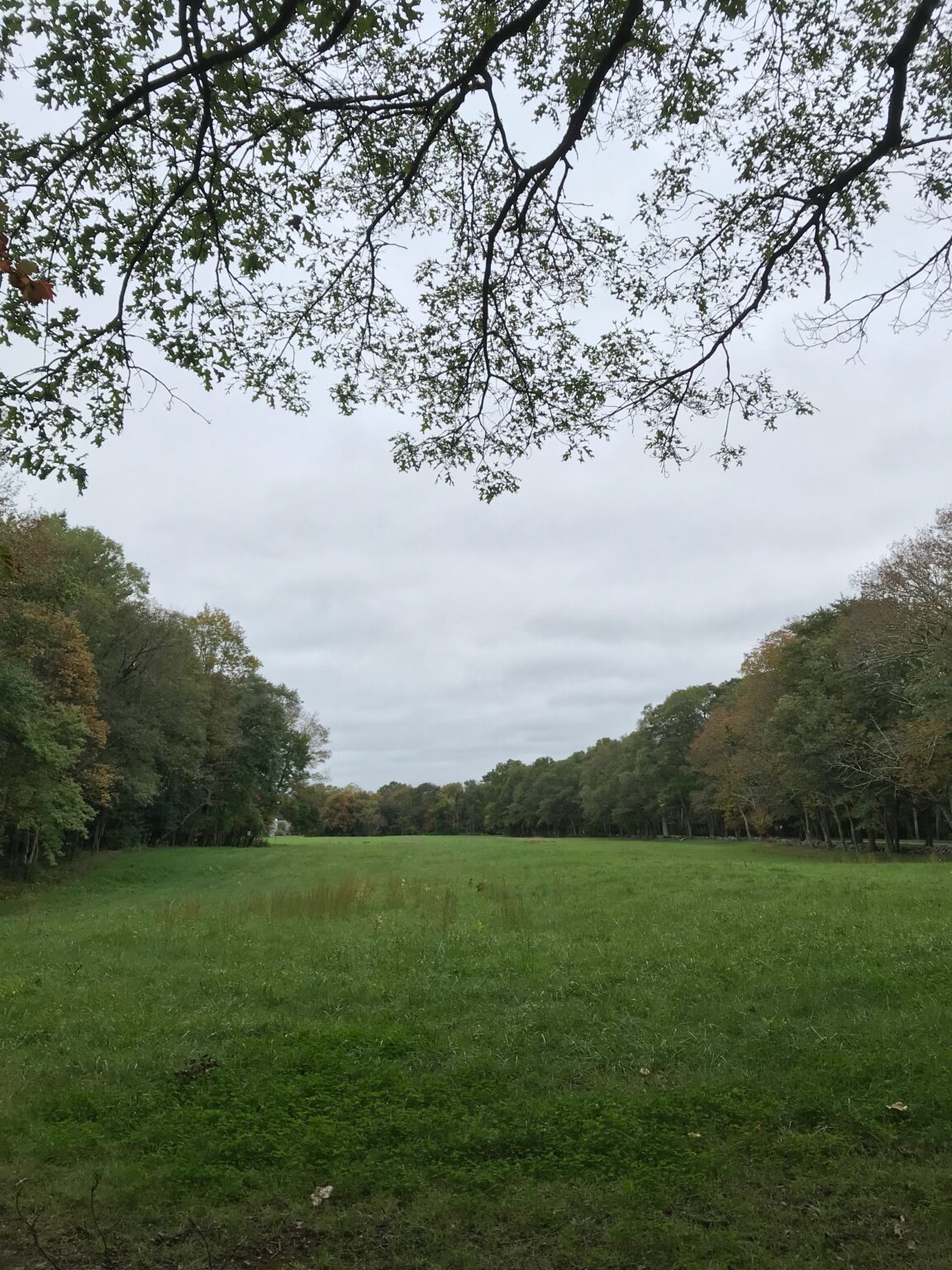 Chestnut Hill Farm, Southborough, MA - The Trustees of Reservations