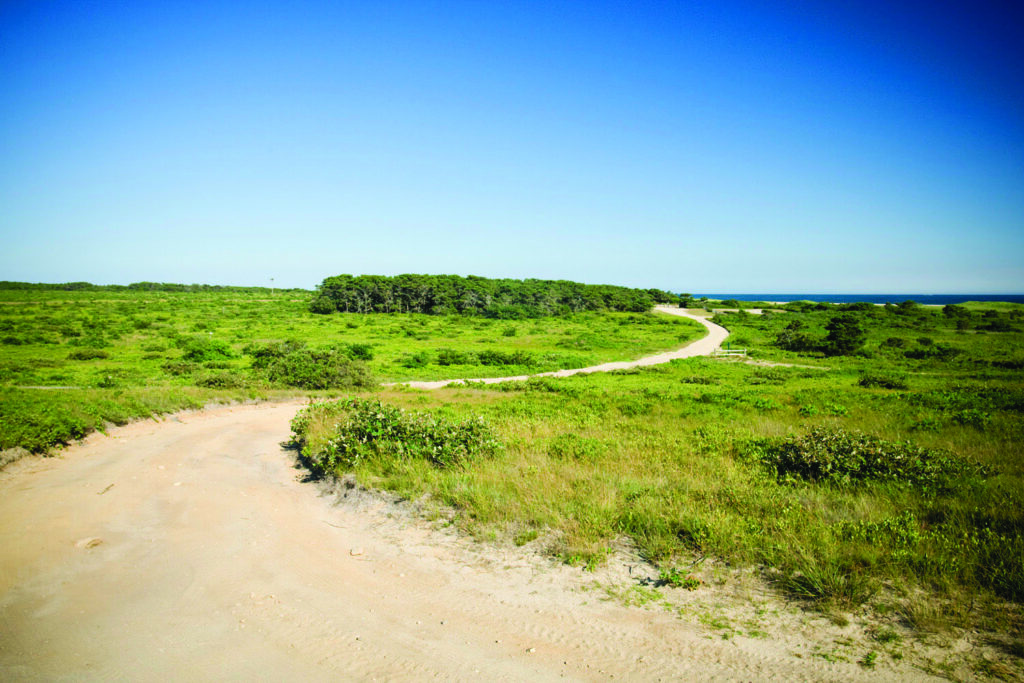 Coskata-Coatue Wildlife Refuge, Nantucket, MA - The Trustees of ...