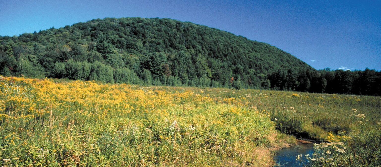 Ashintully Gardens, Tyringham, MA - The Trustees of Reservations