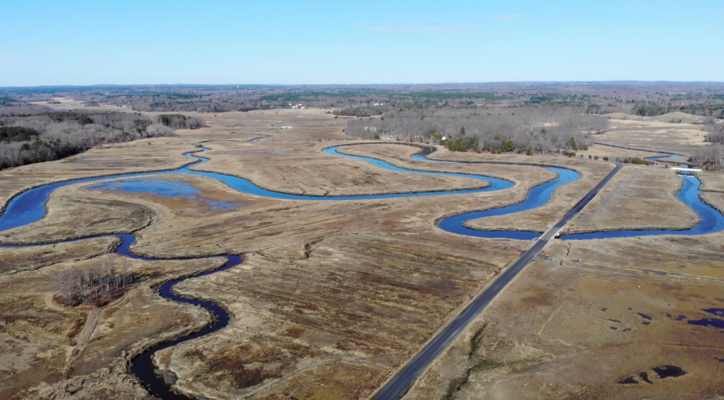 On the Marsh: The Largest Ecological Restoration Project in Trustees ...