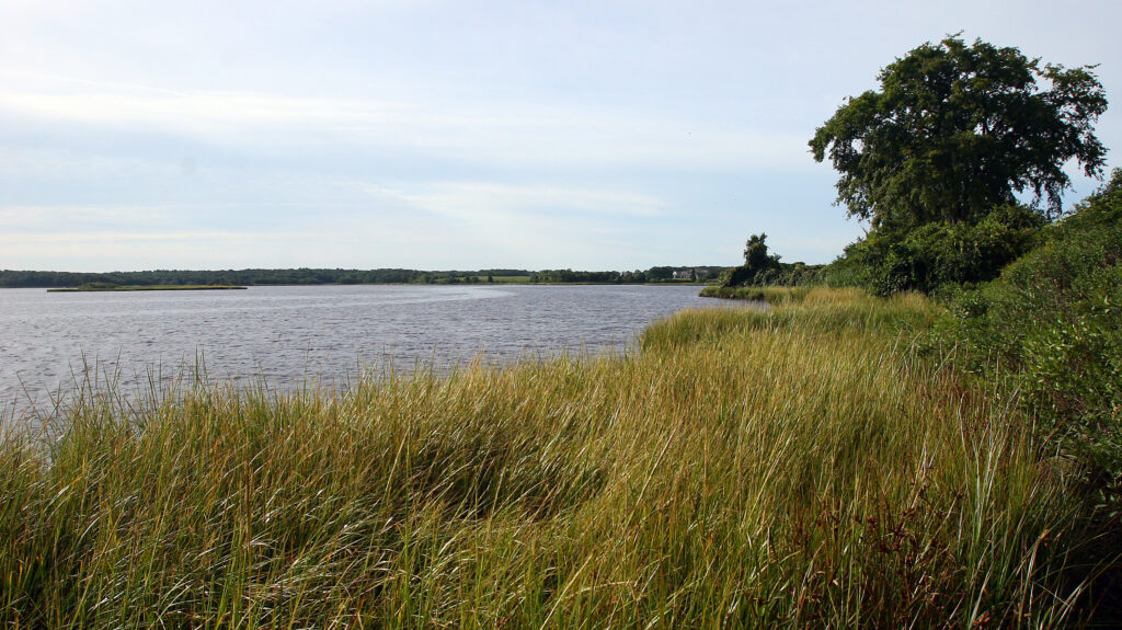 Copicut Woods, Fall River, MA - The Trustees of Reservations