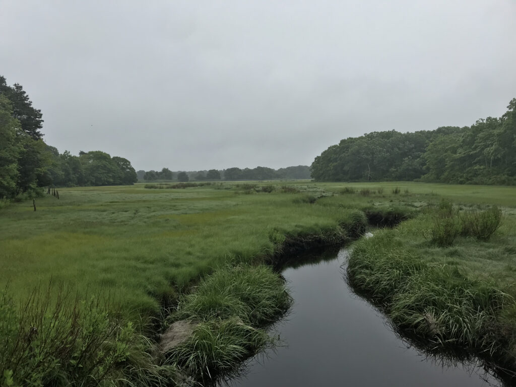 Copicut Woods, Fall River, MA - The Trustees of Reservations