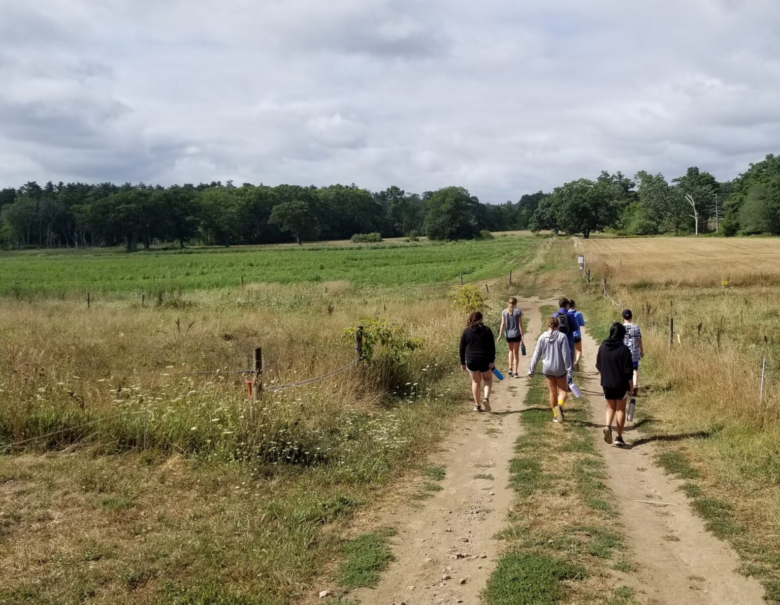 Appleton Farm Camp, Ipswich - The Trustees of Reservations