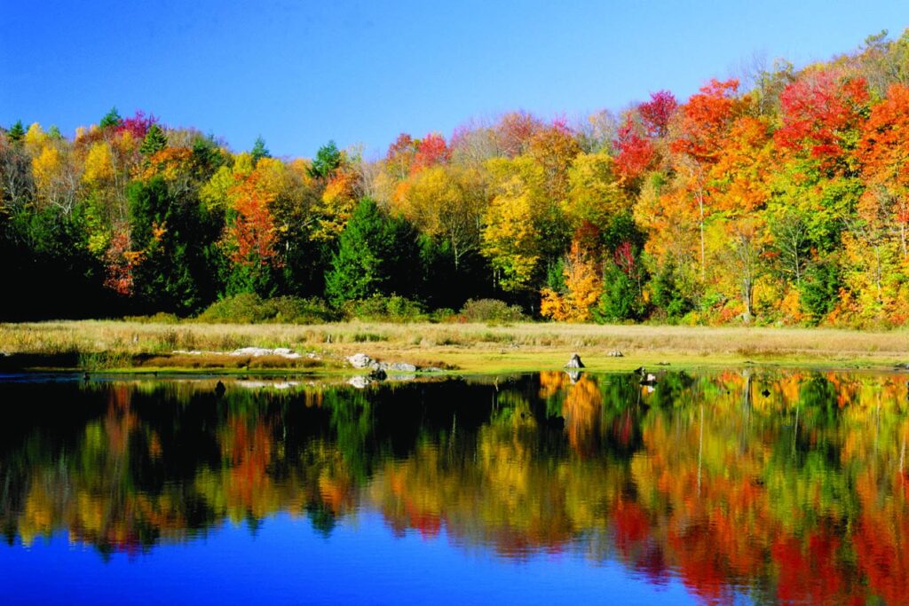 Cross-Country Skiing - The Trustees of Reservations