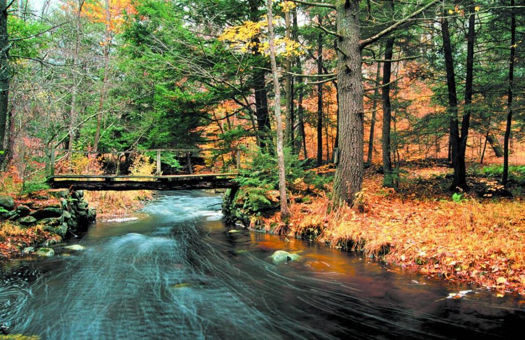 Swift River Reservation, Petersham, MA - The Trustees of Reservations