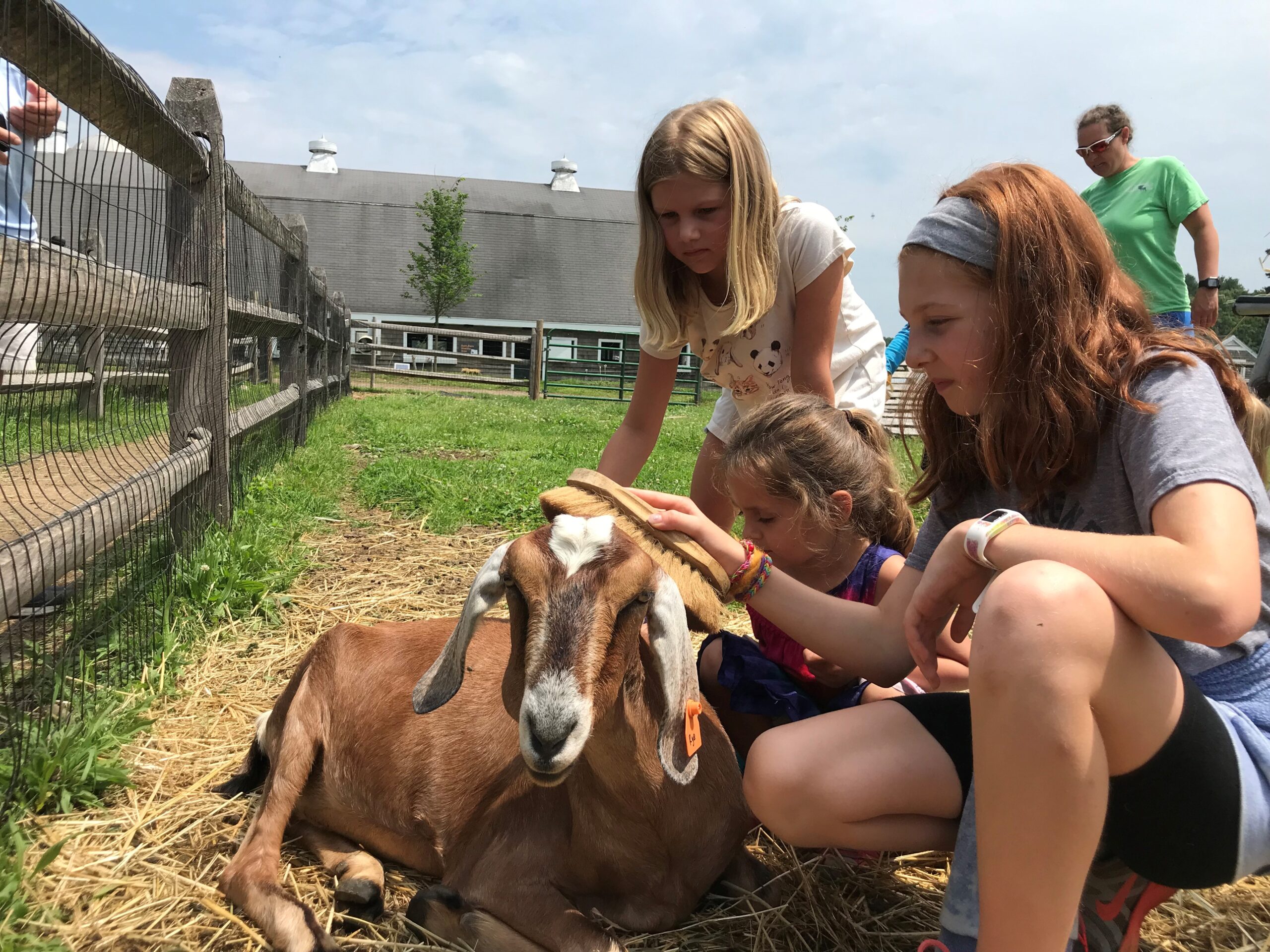 Appleton Farms Education - The Trustees of Reservations