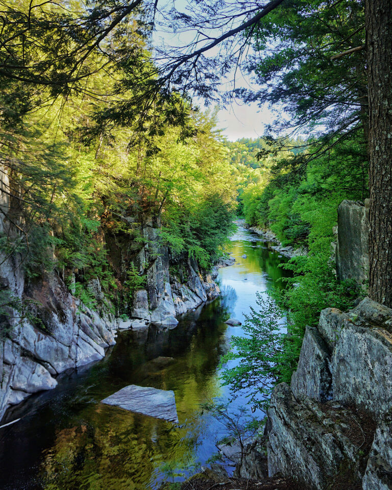 Bear Swamp, Ashfield, MA - The Trustees of Reservations