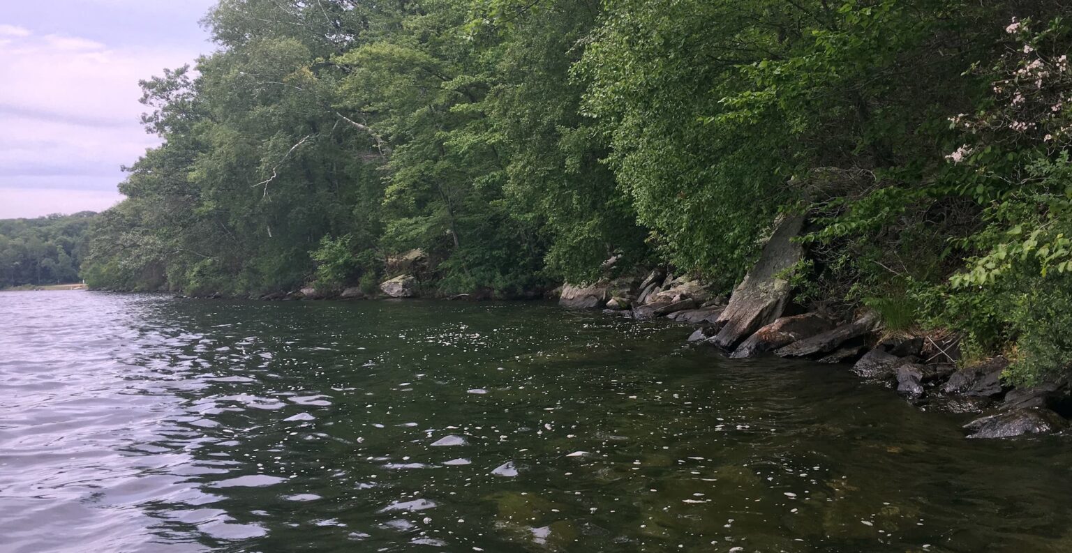 Goose Pond Reservation - The Trustees of Reservations