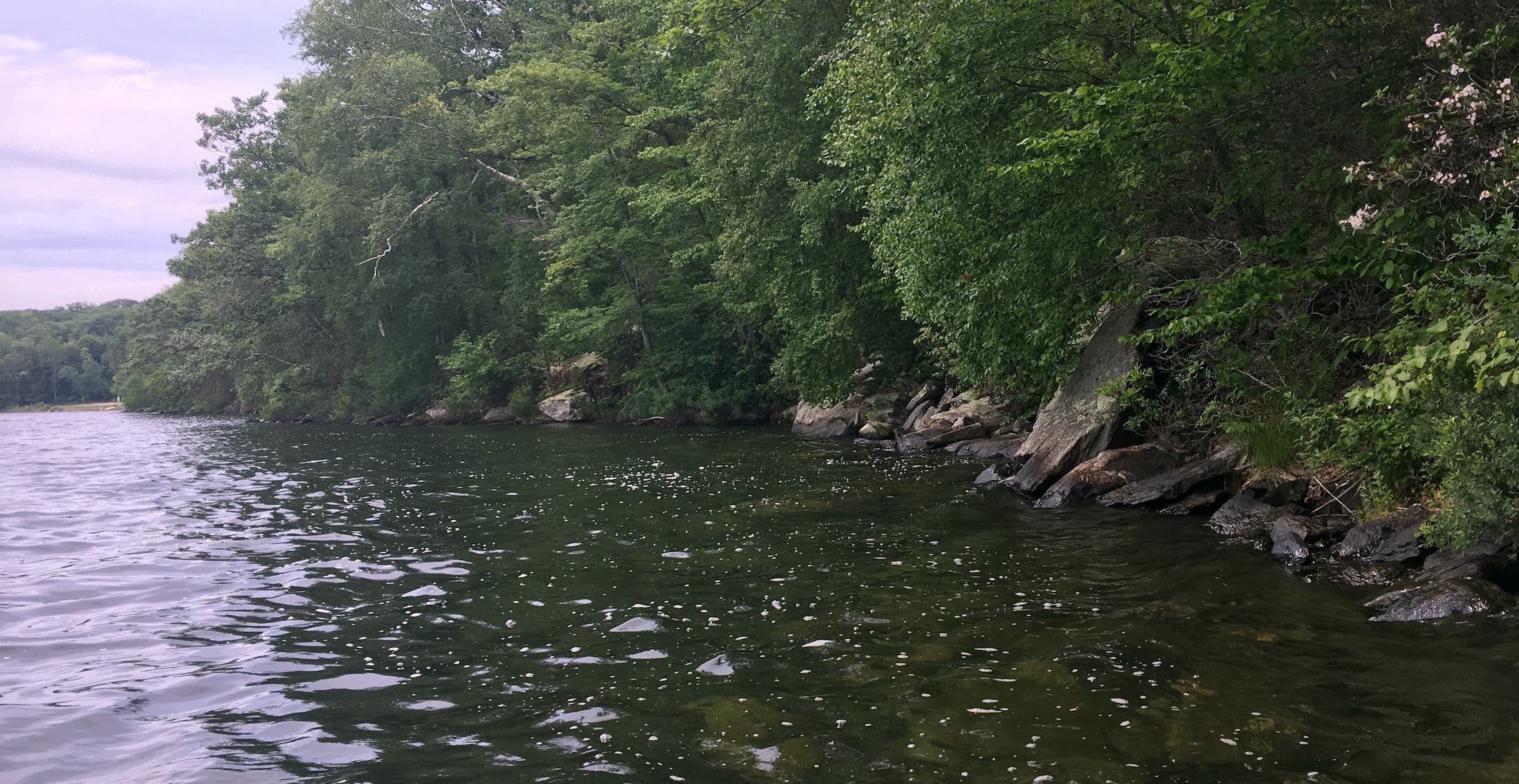 Goose Pond Nh Fishing at Donna Champion blog