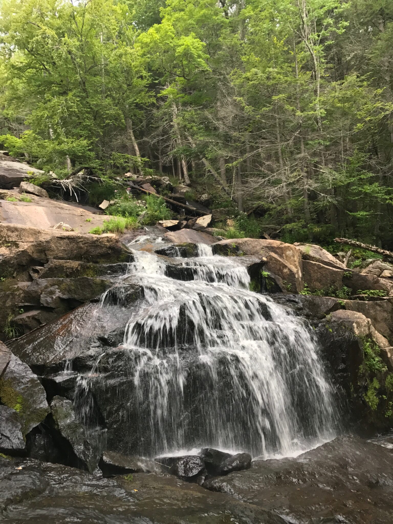 Chesterfield Gorge - The Trustees of Reservations