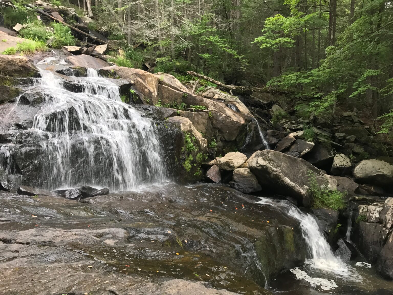 Halibut Point Reservation, Rockport, MA - The Trustees of Reservations