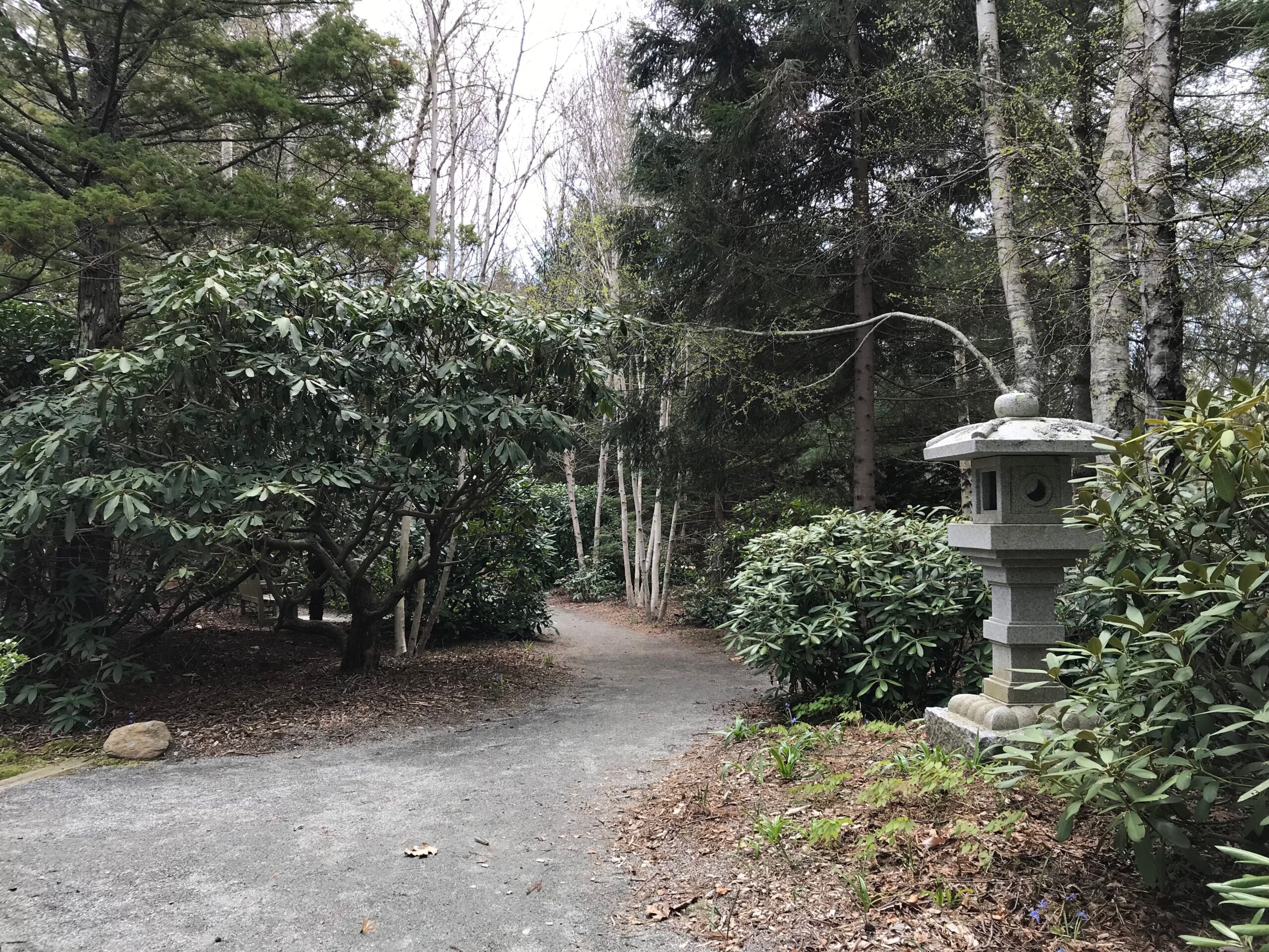 Mytoi History - The Trustees of Reservations