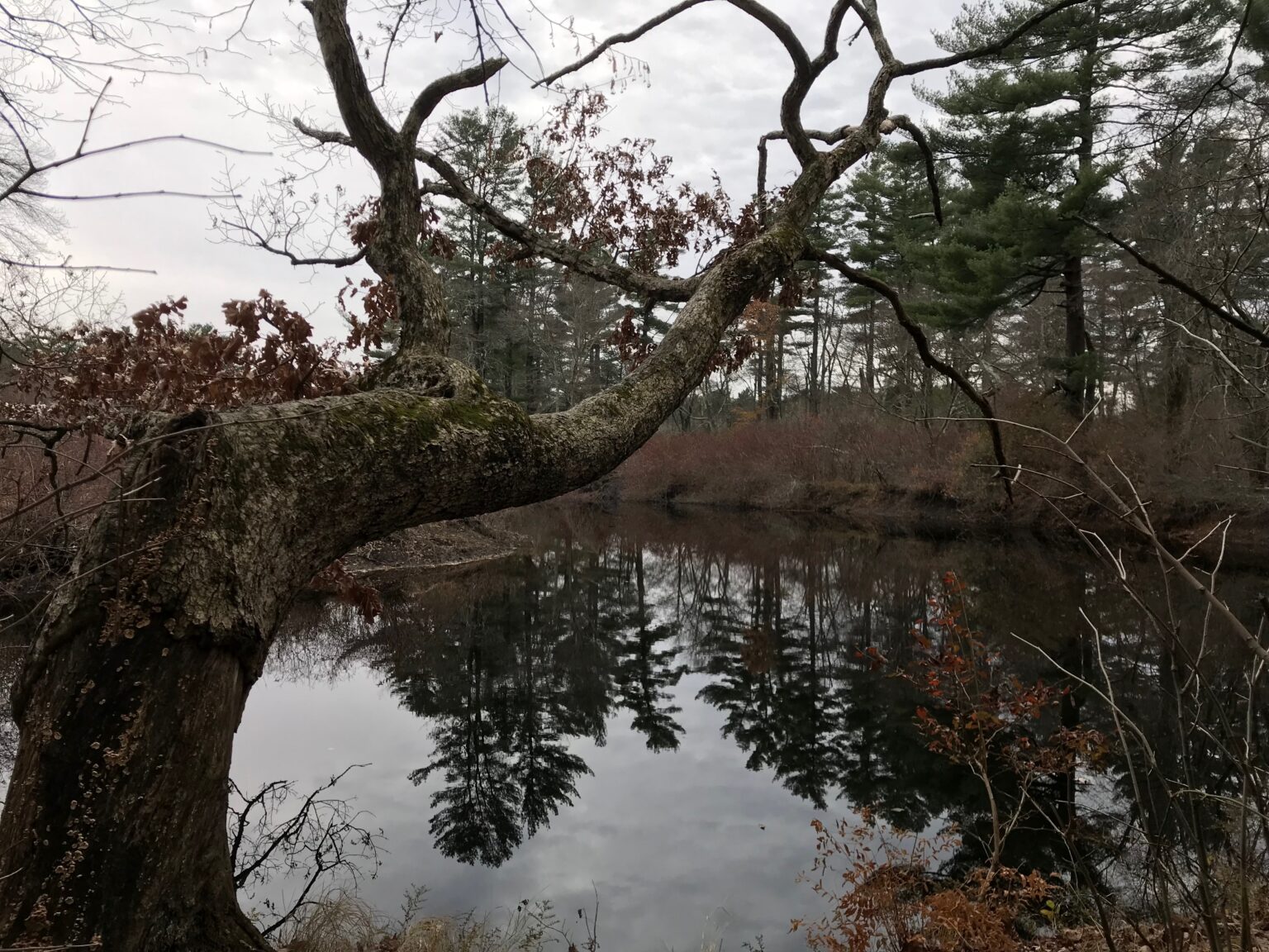 The Old Manse, Concord, MA - The Trustees of Reservations