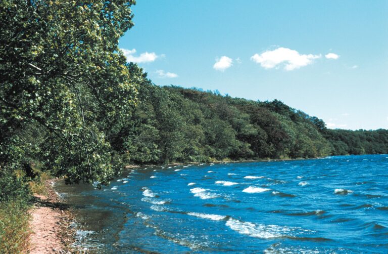 Mashpee River Reservation, Mashpee, MA - The Trustees of Reservations