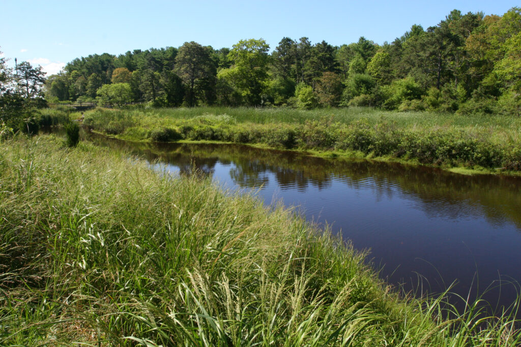Mashpee River Reservation, Mashpee, MA - The Trustees of Reservations