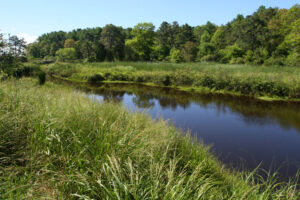 Copicut Woods, Fall River, MA - The Trustees of Reservations