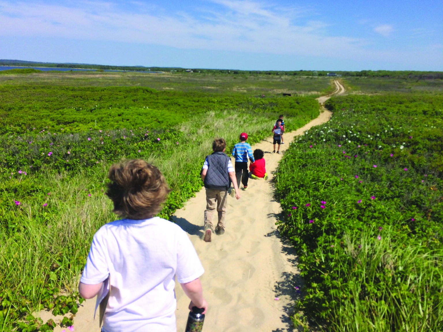 Cape Poge Wildlife Refuge, Chappaquiddick Island - The Trustees of ...