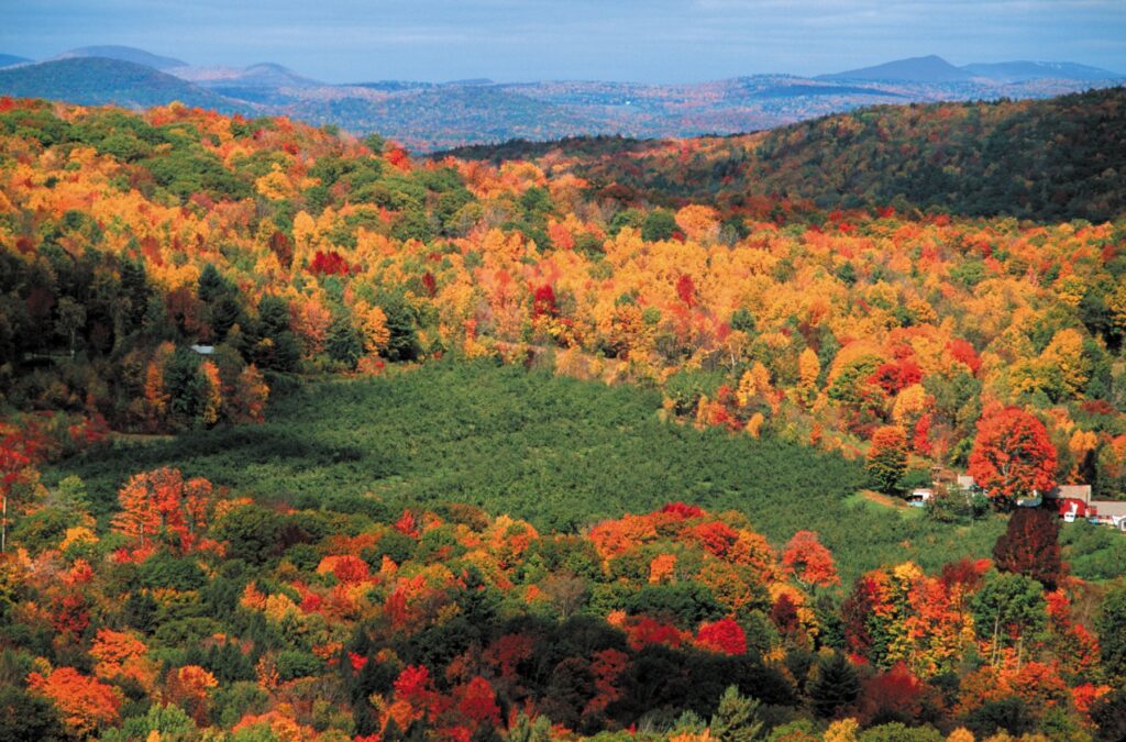 Favorite Fall Foliage Hikes - The Trustees of Reservations