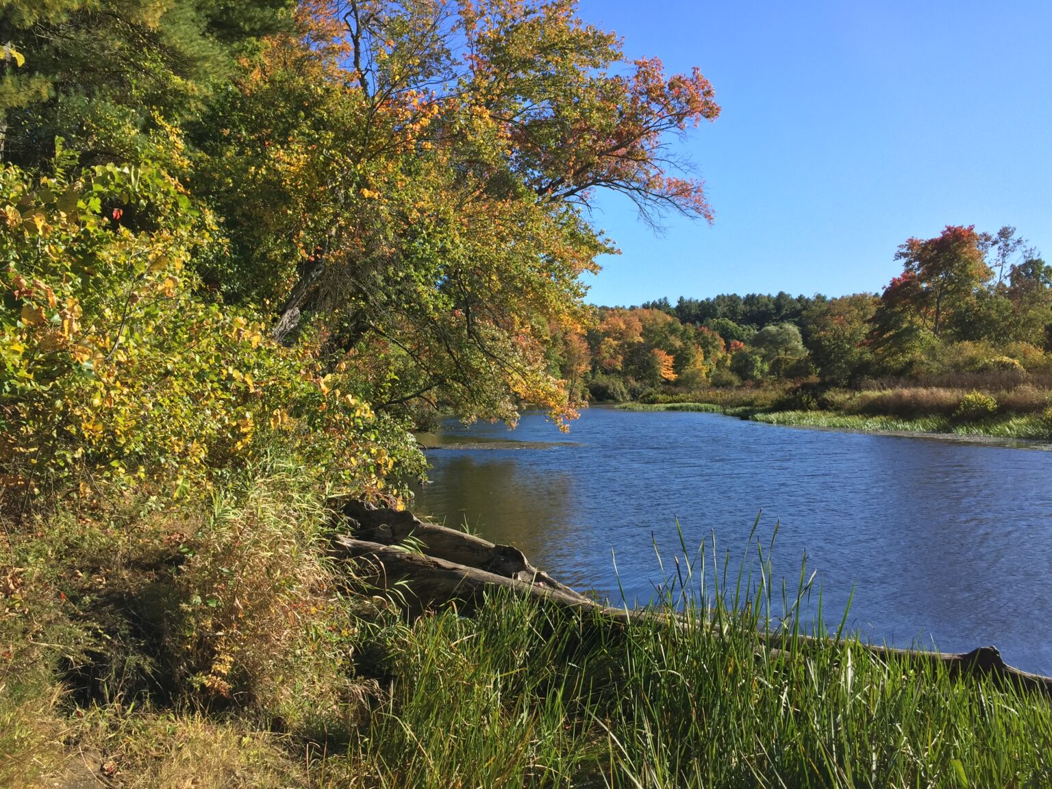 Chestnut Hill Farm, Southborough, MA - The Trustees of Reservations