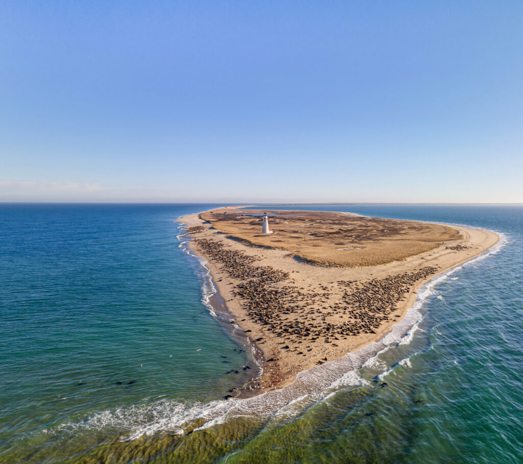Coskata-Coatue Wildlife Refuge, Nantucket, MA - The Trustees of ...