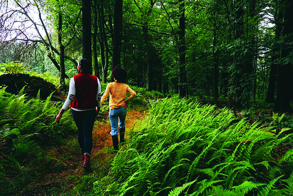 Swift River Reservation, Petersham, MA - The Trustees of Reservations