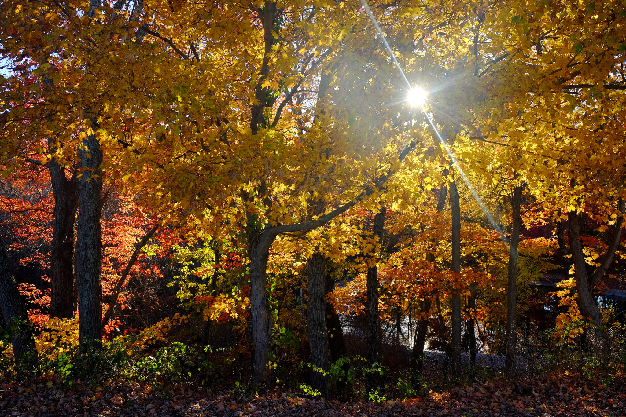 Fall Activities - The Trustees of Reservations