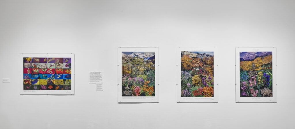 Peter Hutchinson: Landscapes of My Life - The Trustees of Reservations