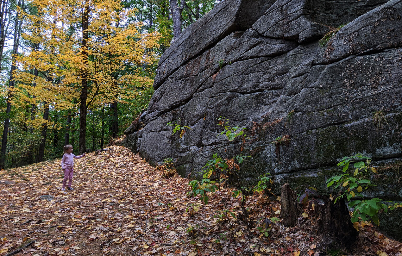 Doyle Community Park, Leominster, MA - The Trustees of Reservations