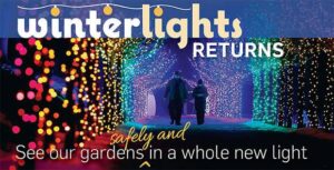Winterlights Returns for the 2020 Holiday Season - The Trustees of ...