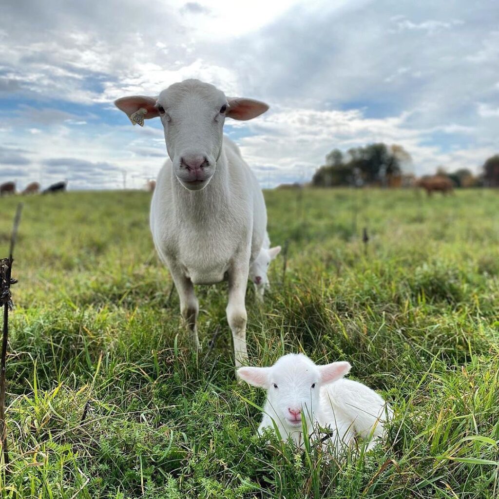 Hiking in Massachusetts - The Trustees of Reservations