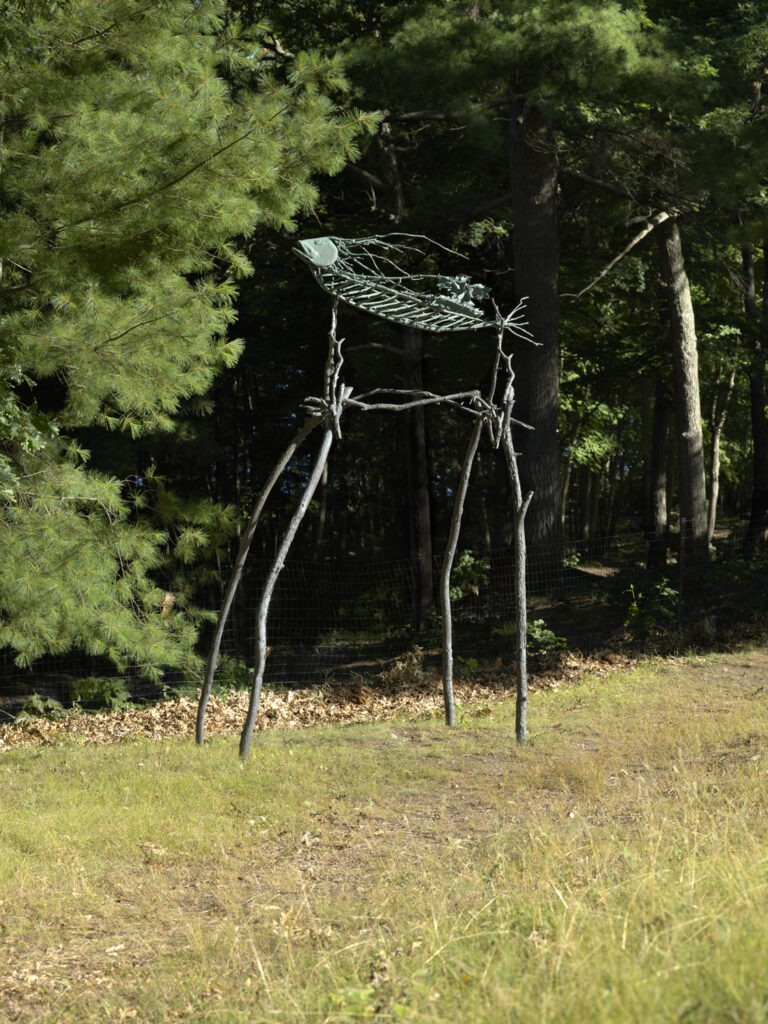 Ed Shay, Acadian Gyro - The Trustees of Reservations