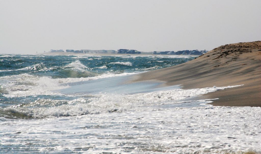 Misery Islands, Salem, MA - The Trustees of Reservations