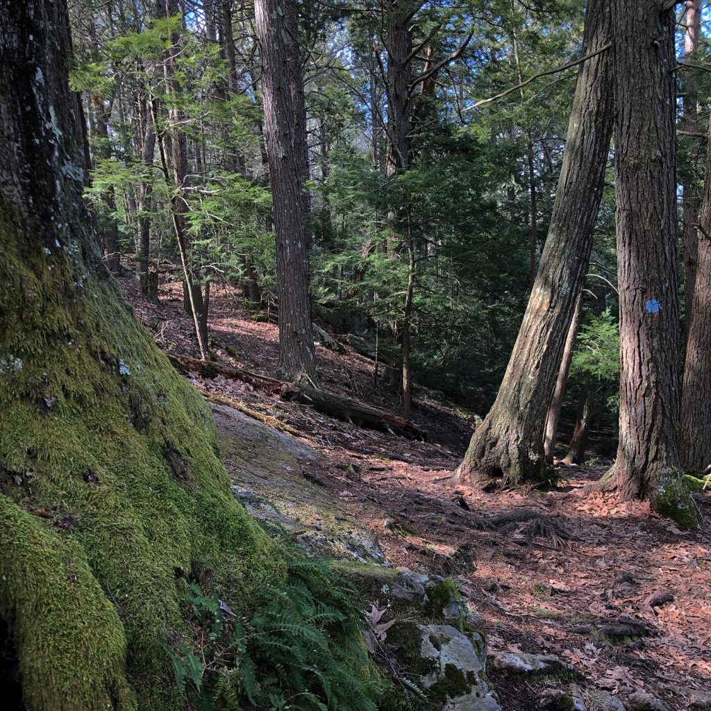 Rocky Woods, Medfield, MA - The Trustees of Reservations