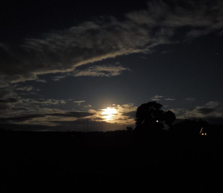Full Moon Hikes & Walks - The Trustees of Reservations