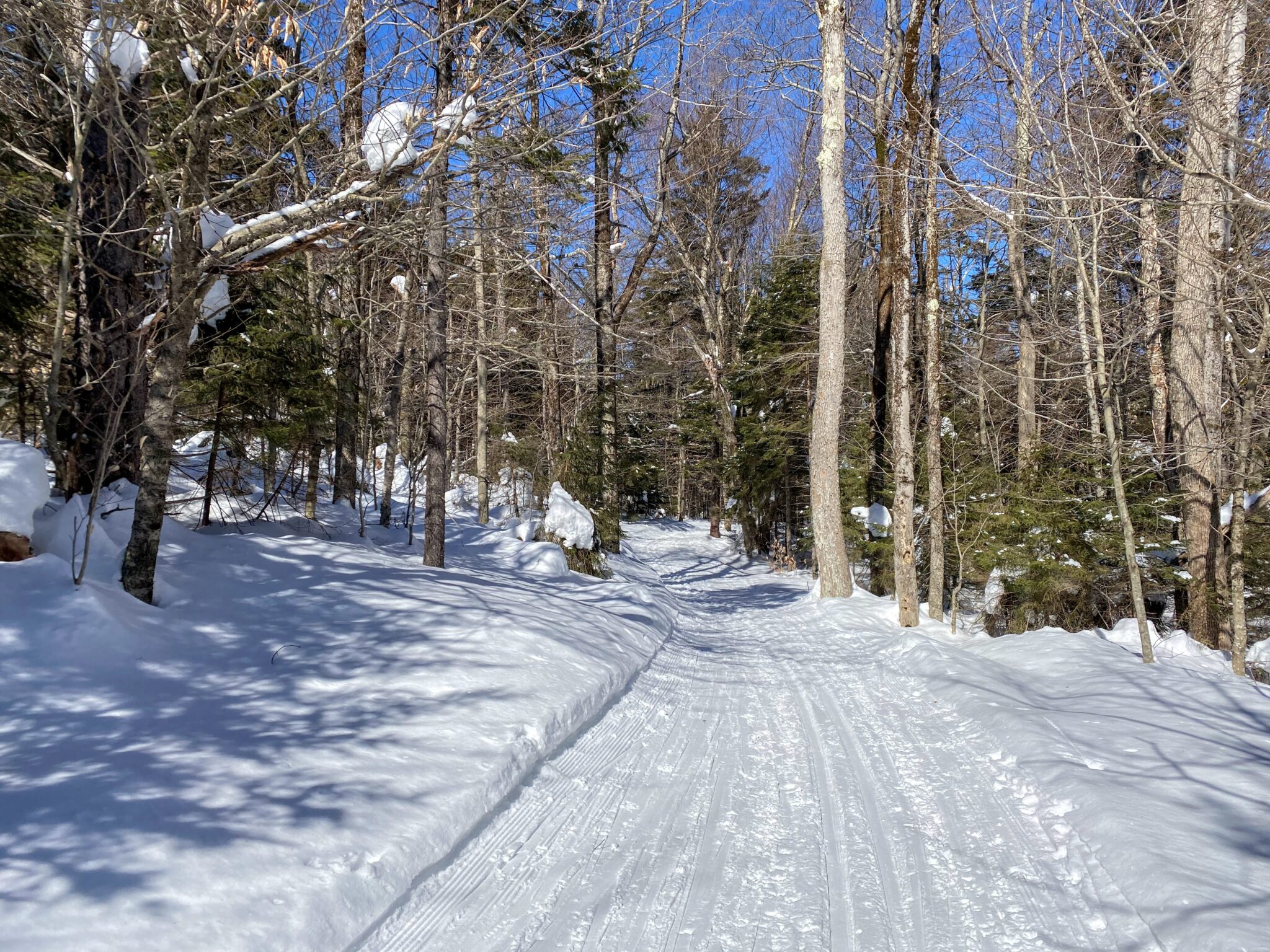 Notchview Skiing - The Trustees of Reservations
