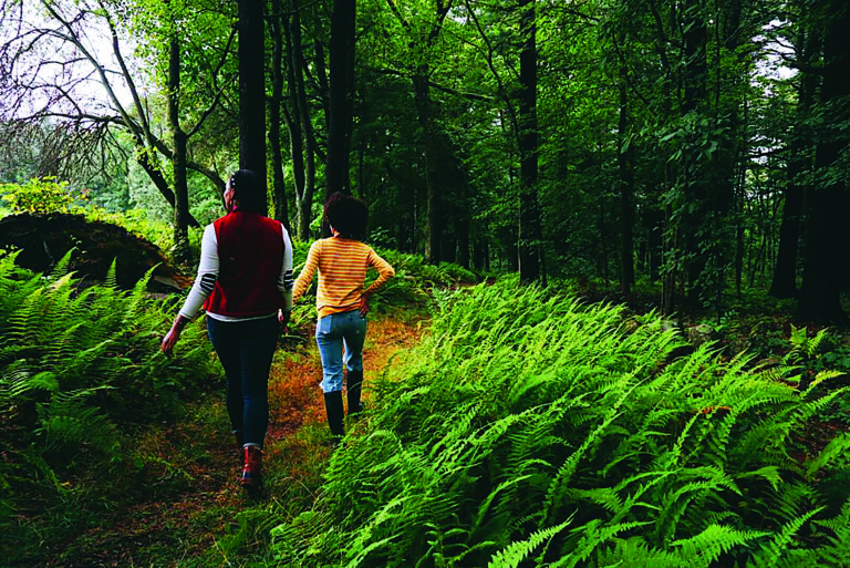 DBIE Training Modules for Part-time Trustees Staff - The Trustees of ...