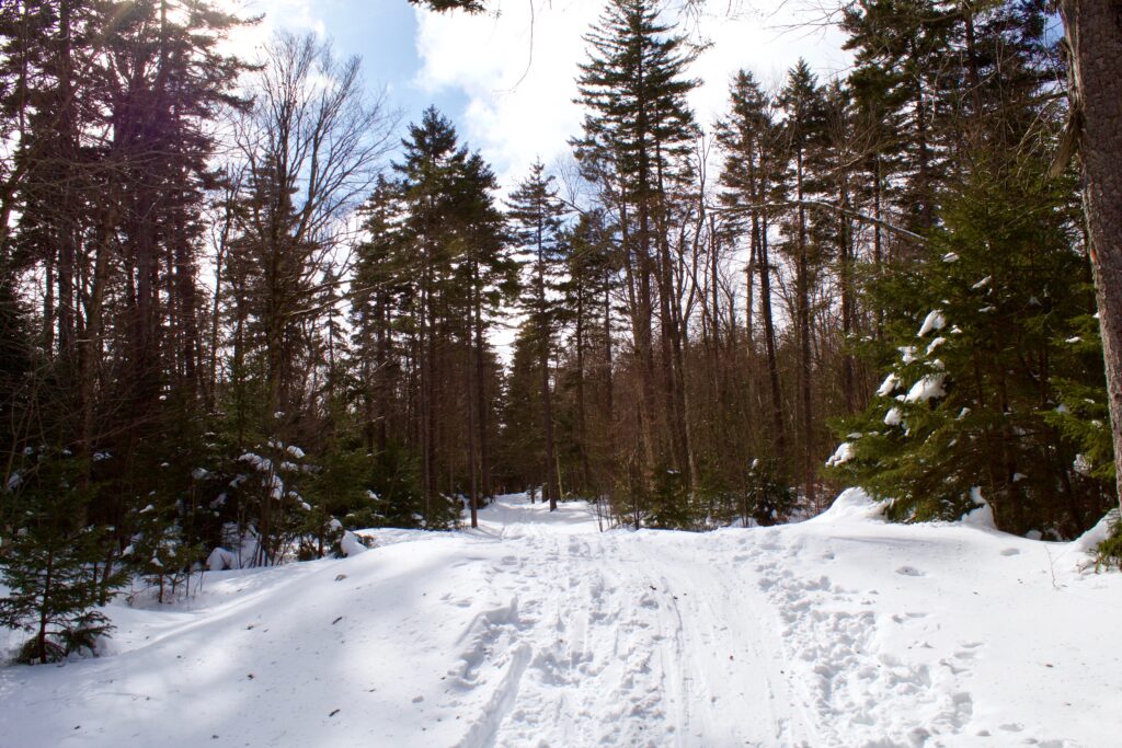 Notchview Skiing - The Trustees of Reservations