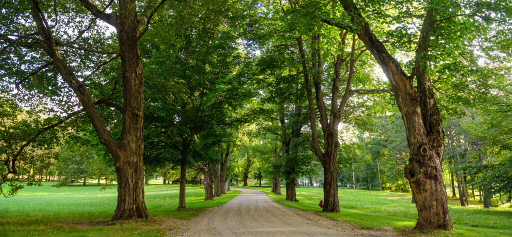 Moraine Farm - The Trustees of Reservations