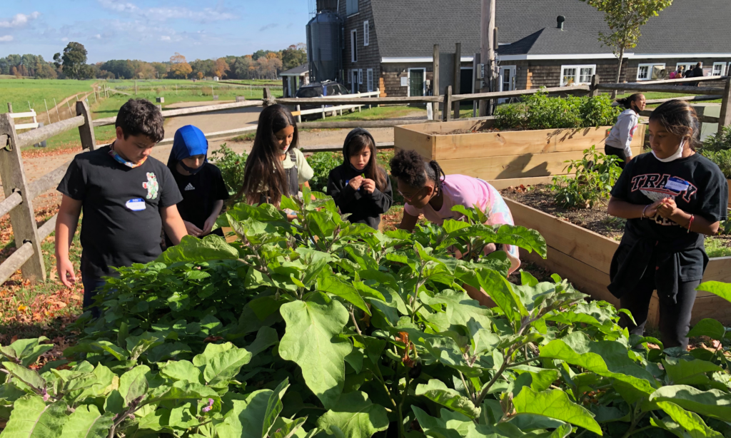 Farm-Based Education Programs - The Trustees of Reservations